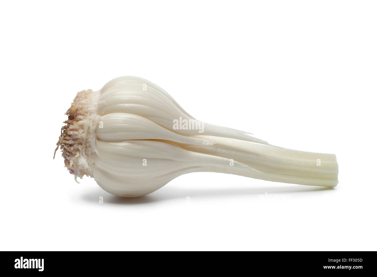 Fresh French garlic on white background Stock Photo - Alamy