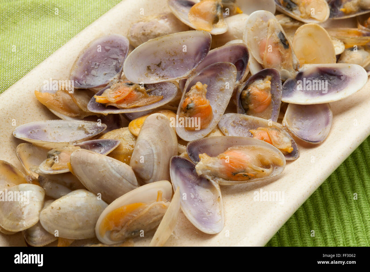 Cooked banded wedge shell on a dish Stock Photo - Alamy