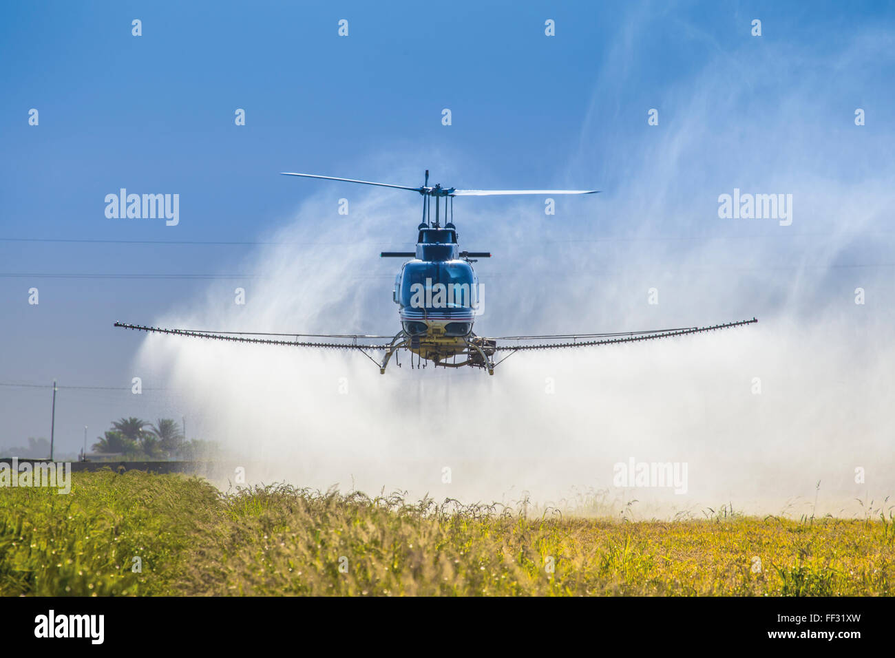 Helicopter spraying rice fields in the Ebro Delta Stock Photo - Alamy