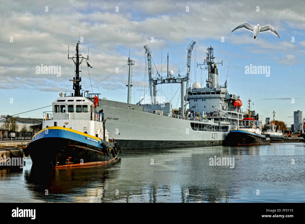 Gold Rover Royal Navy High Resolution Stock Photography and Images - Alamy