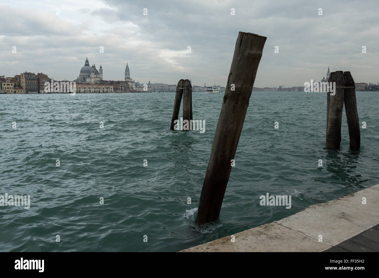 pilings in the canal, Venice Stock Photo - Alamy