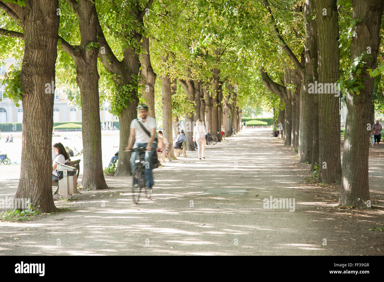 Hofgarten park in bonn germany hi-res stock photography and images - Alamy