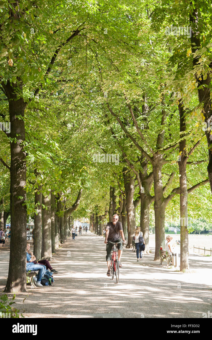 Hofgarten Park in Bonn, Germany Stock Photo - Alamy