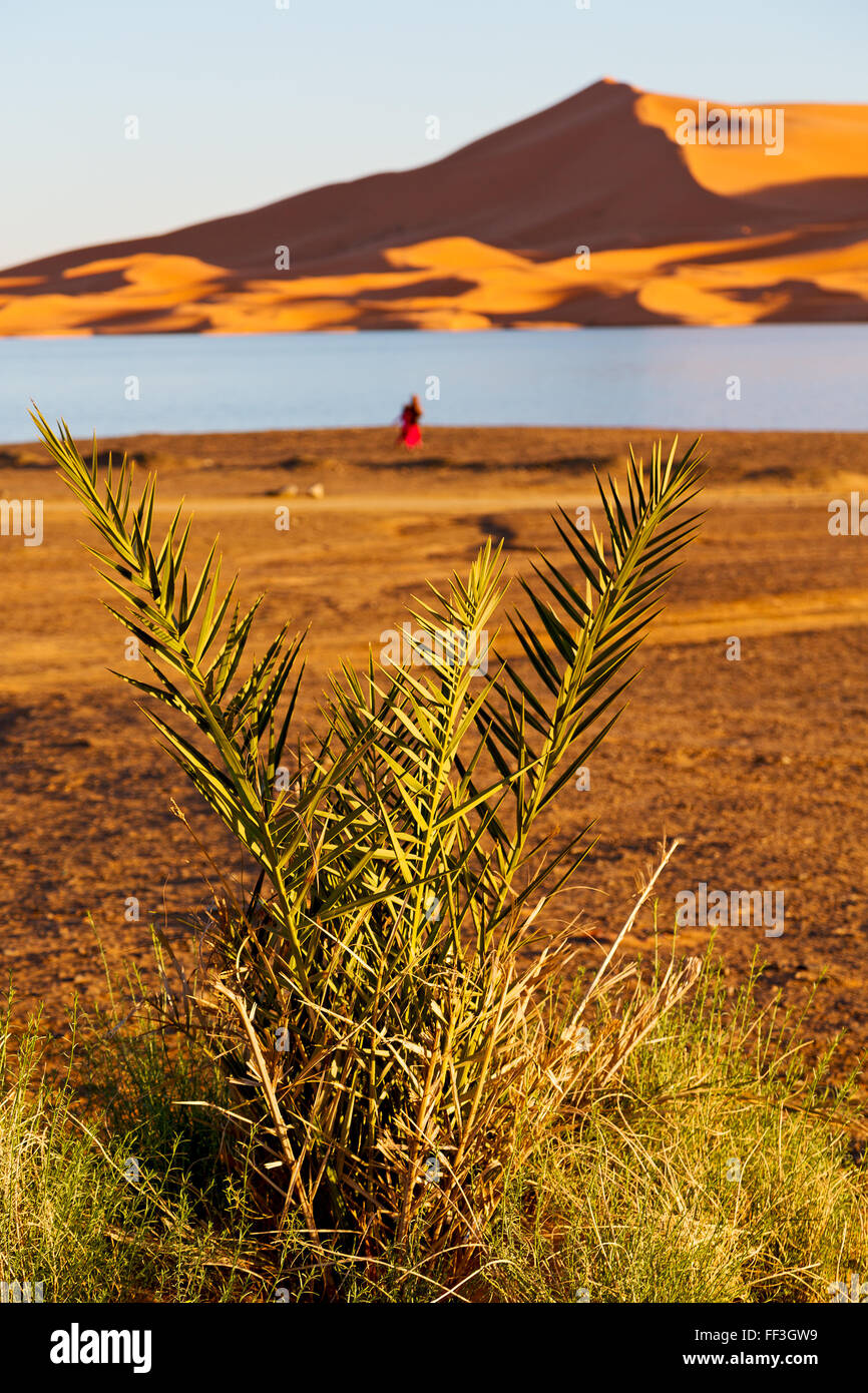 sunshine in the desert of morocco sand and lake dune Stock Photo - Alamy