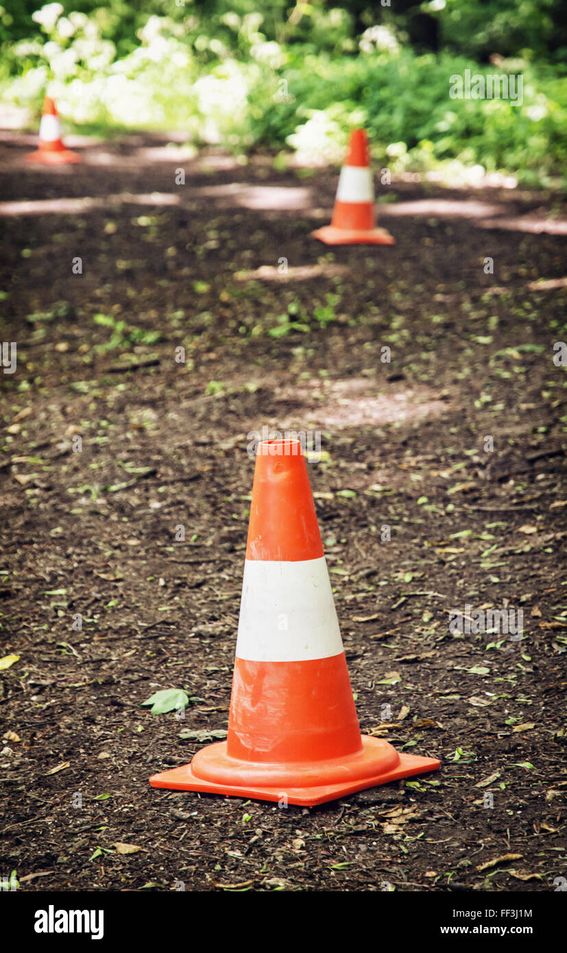 Traffic cones defining route to run through the wood. Outdoor leisure ...