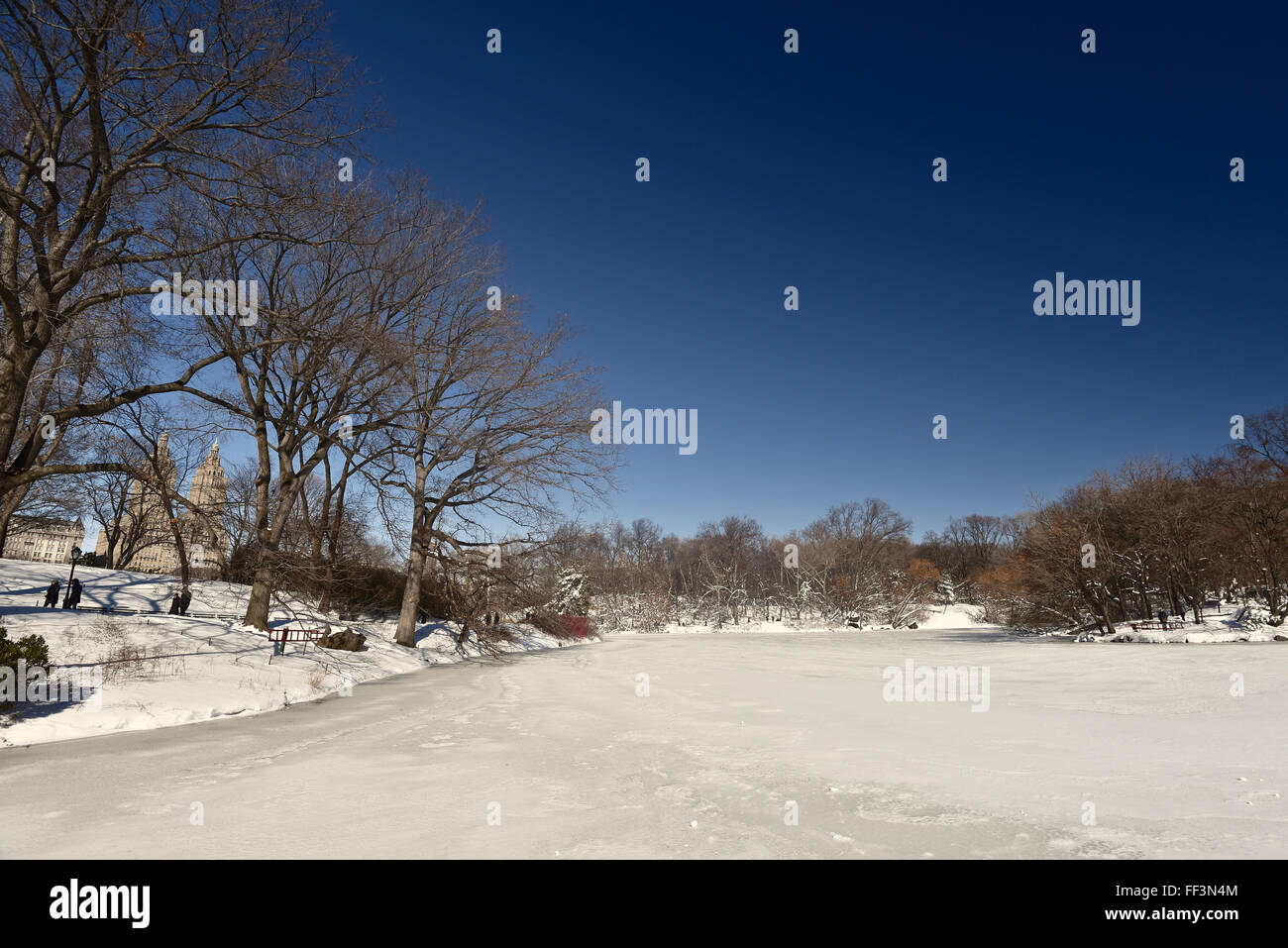 Central Park after a blizzard Stock Photo - Alamy