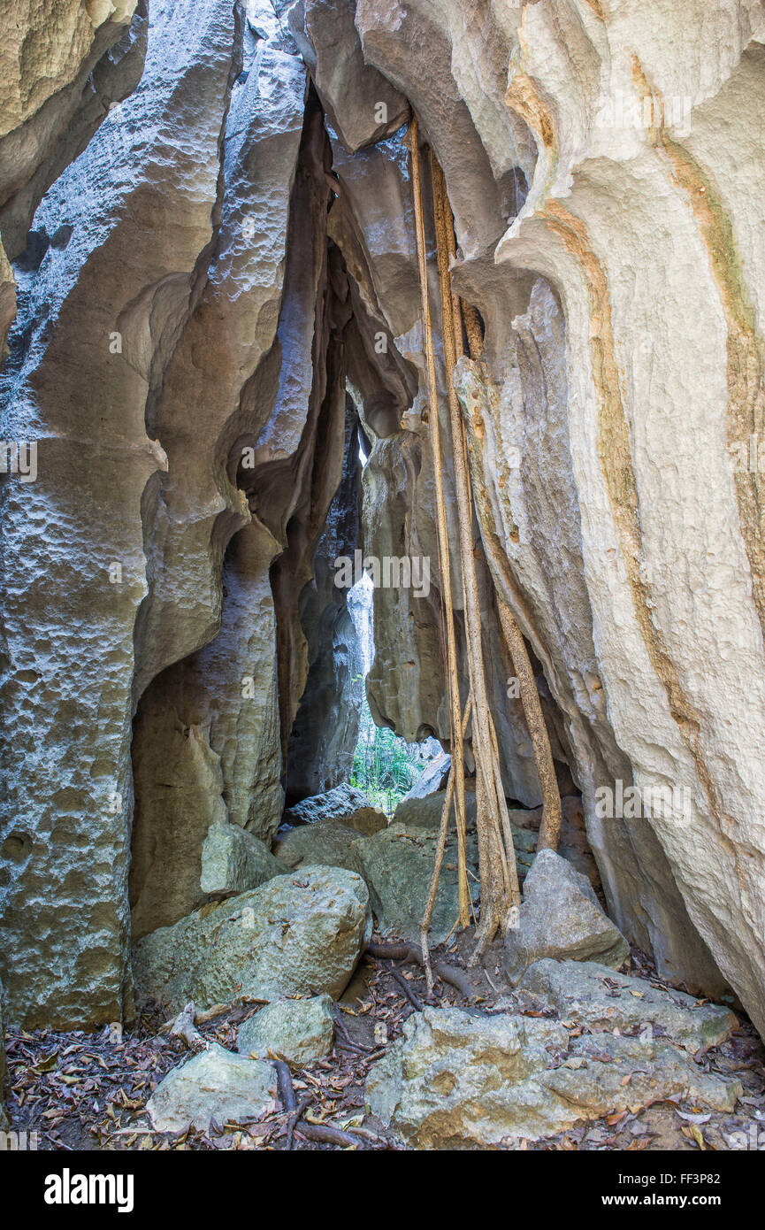 Rock formation, Tsingy de Bemaraha national park, Unesco World Heritage ...