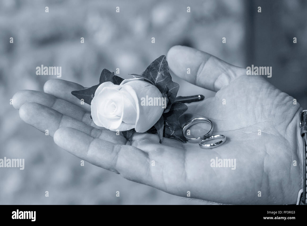 Hand rings poster hi-res stock photography and images - Alamy