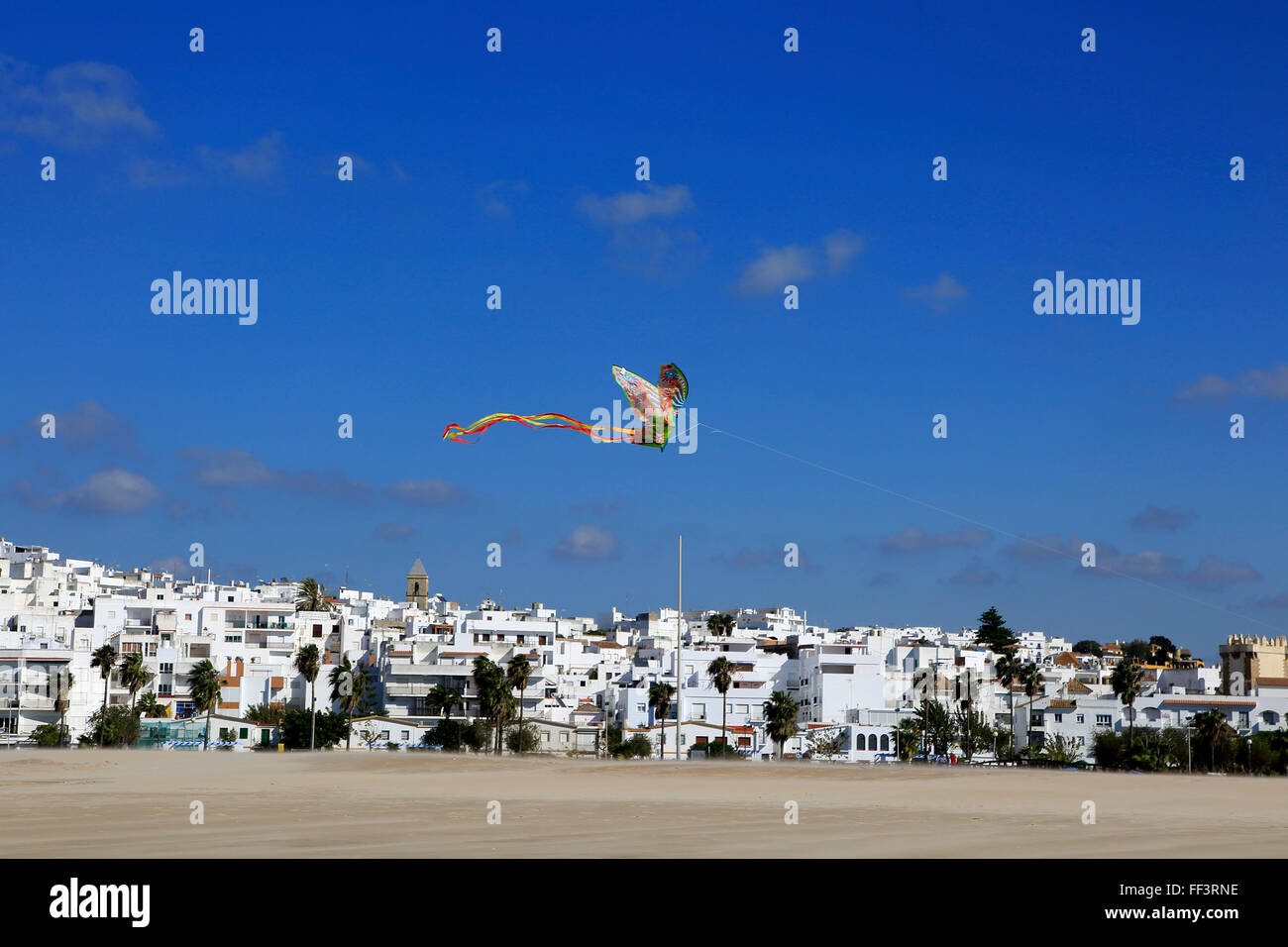 Kite flying above sandy beach at Conil de la Frontera, Cadiz Province ...