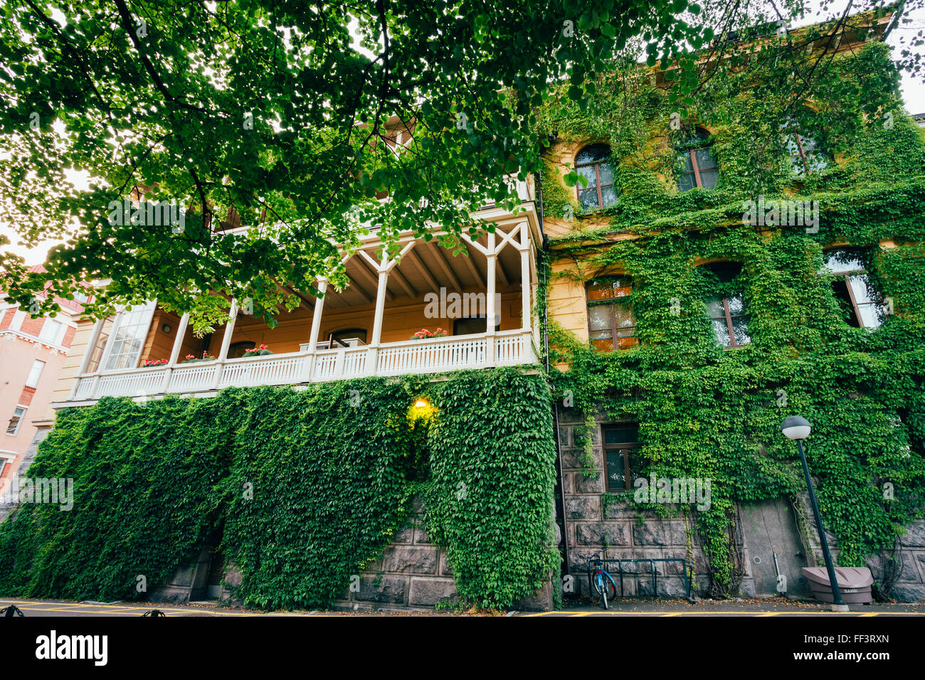 Ivy house wall hi-res stock photography and images - Alamy