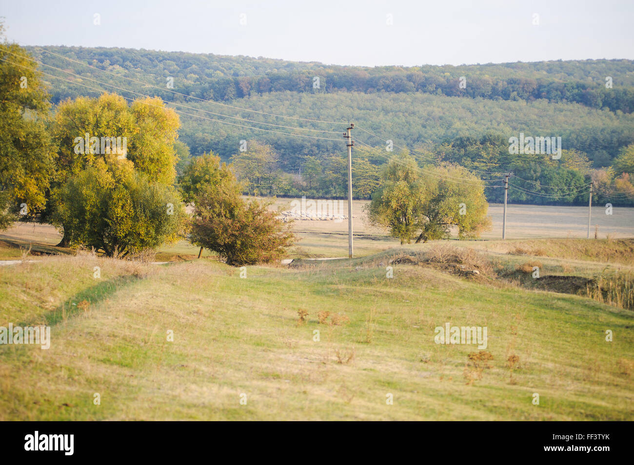 Autumn nature landscape in Moldova. Trees and forest Stock Photo - Alamy