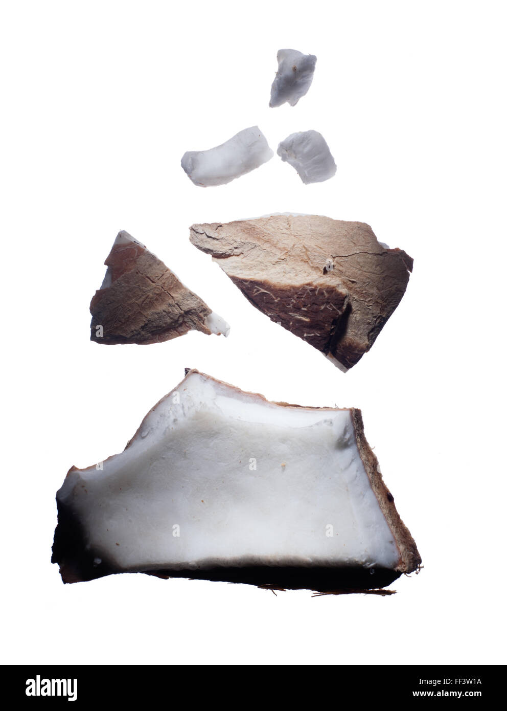 Coconut cocos nucifera harvest hi-res stock photography and images - Alamy