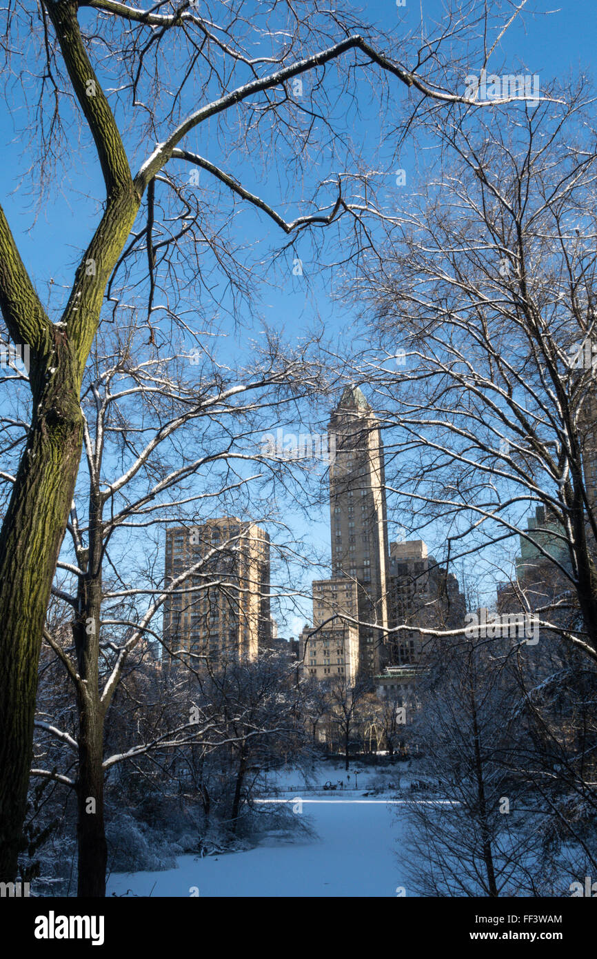 Trees in Central Park in Snowstorm, NYC, USA Stock Photo - Alamy