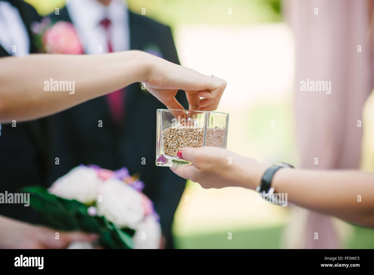 bride and groom are changing rings on their wedding Stock Photo - Alamy