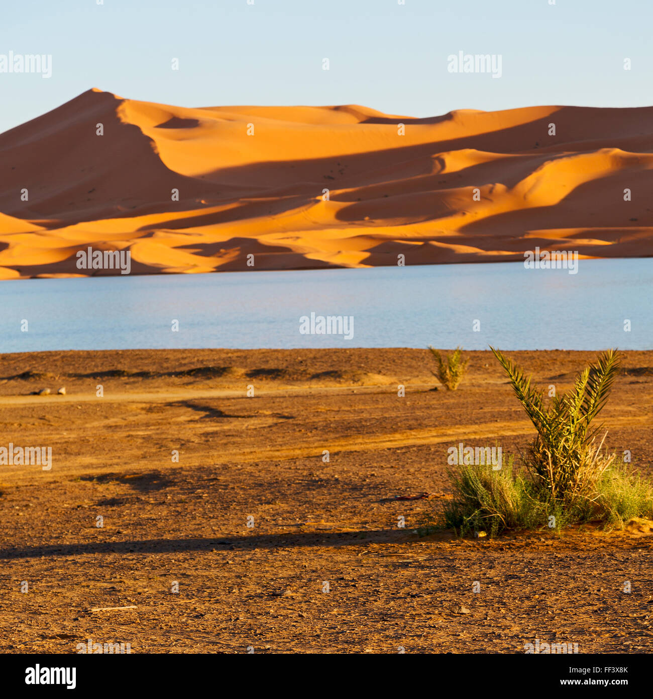 sunshine in the desert of morocco sand and lake dune Stock Photo - Alamy