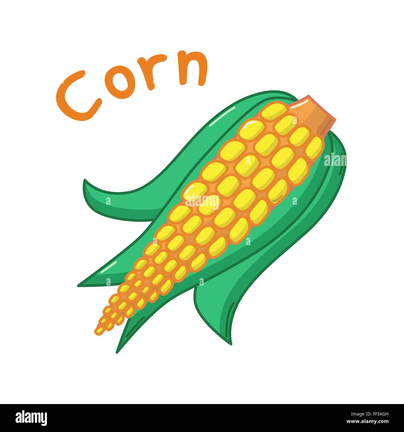 Isolated icon of raw corn with name Stock Vector Image & Art - Alamy