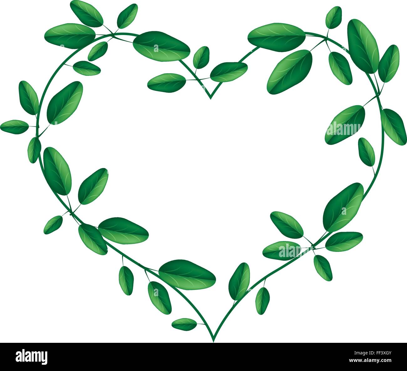 Love Concept, Illustration of Heart Shape Frame Made of Green Leaves ...