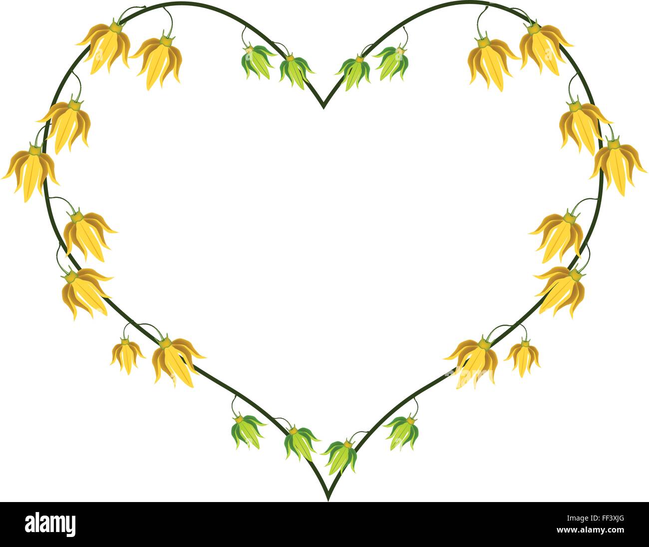 Love Concept, Illustration of Yellow Color of Ylang-Ylang Flowers ...