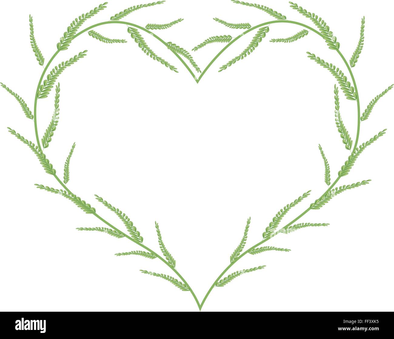 Love Concept, Illustration of Fresh Green Ferns Forming in A Beautiful ...