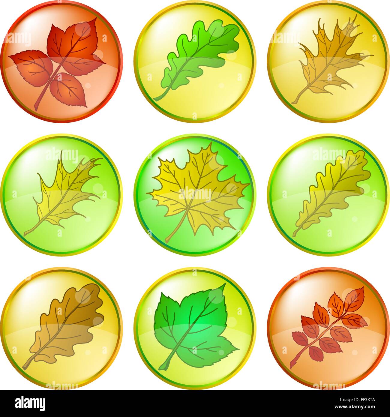 Leaves buttons, set Stock Vector Image & Art - Alamy