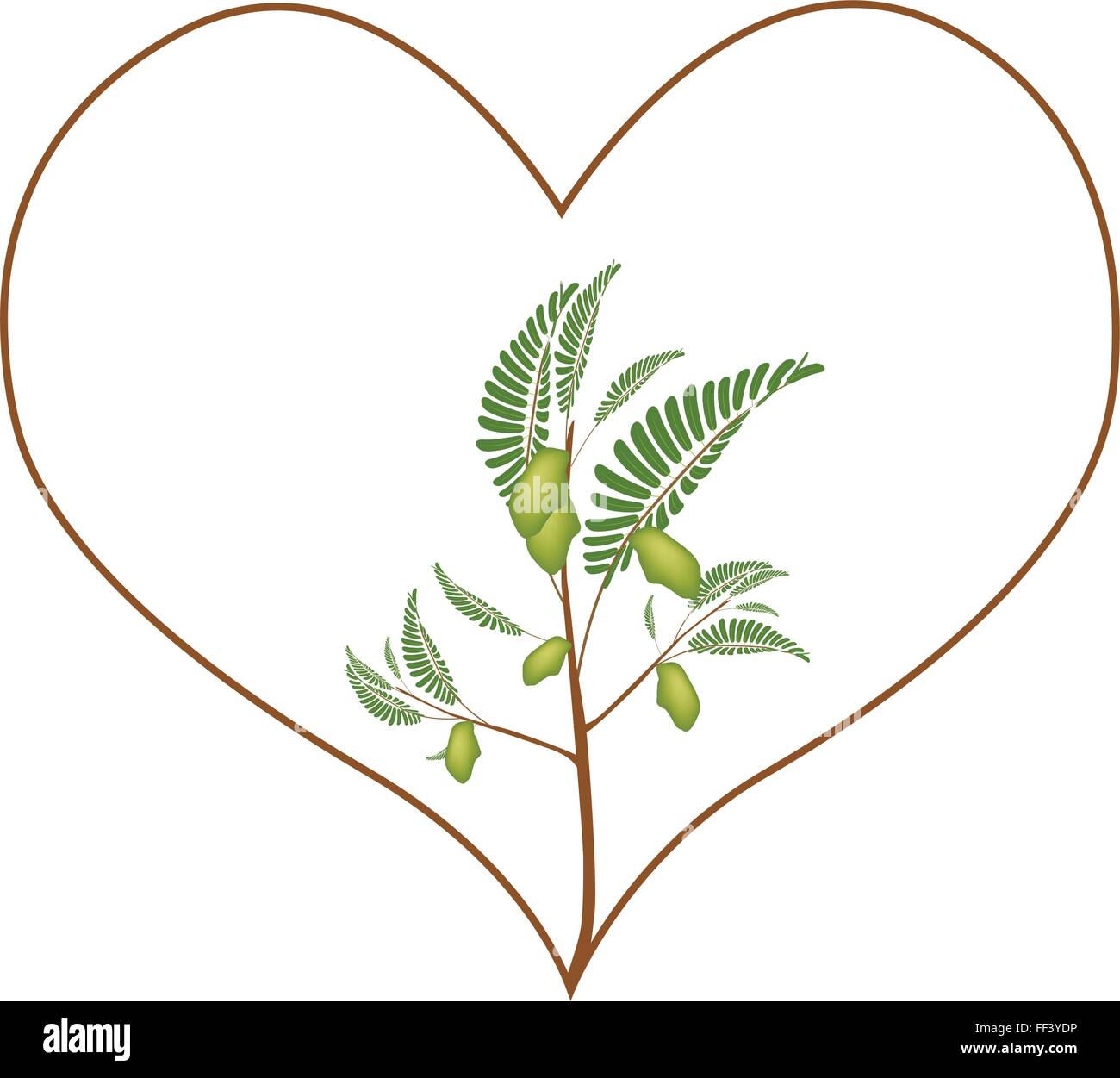 Green garbanzo Stock Vector Images - Alamy