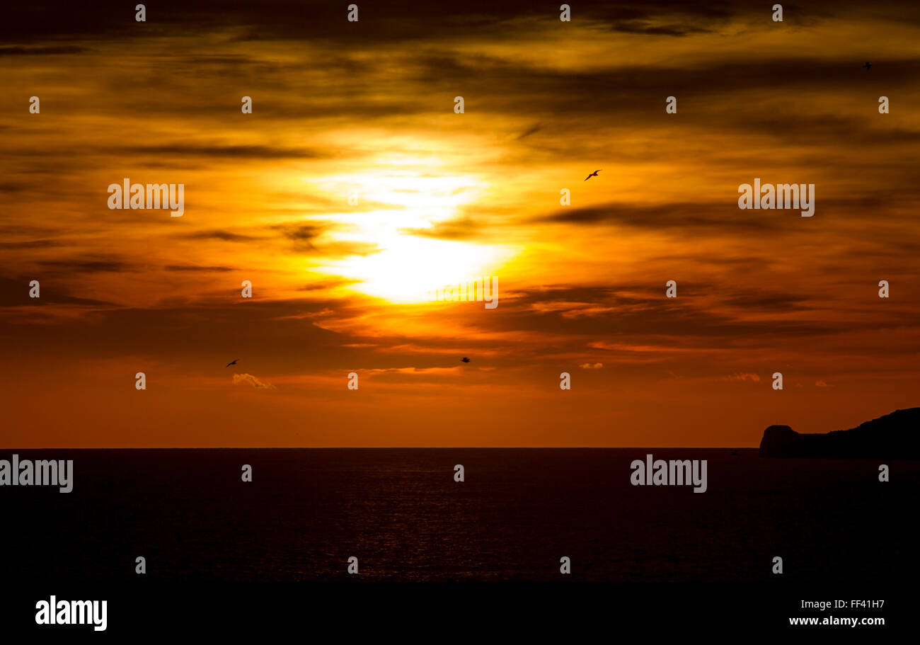 A golden sunset over the sea Stock Photo - Alamy