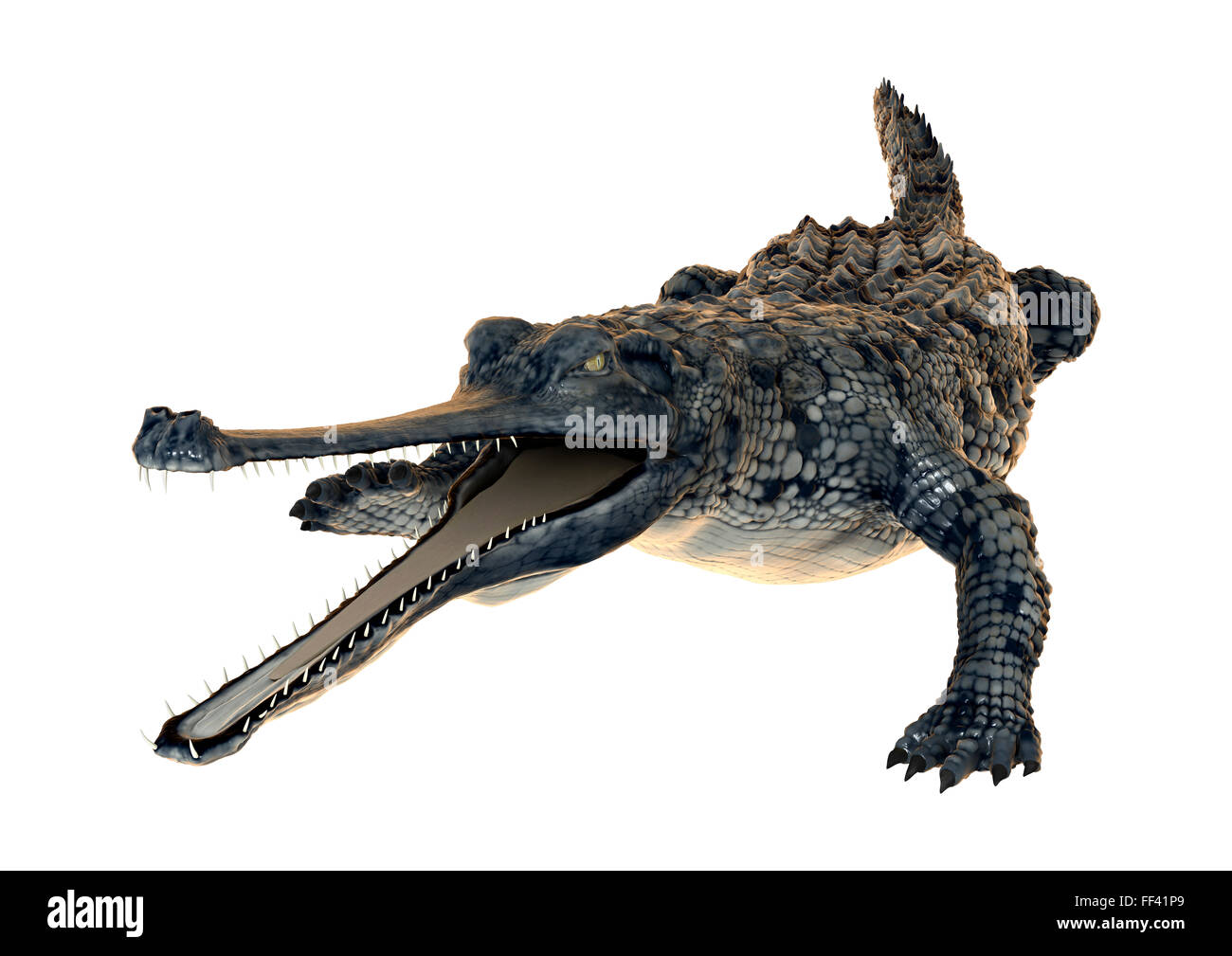 3d digital render gharial gavialis hi-res stock photography and images ...