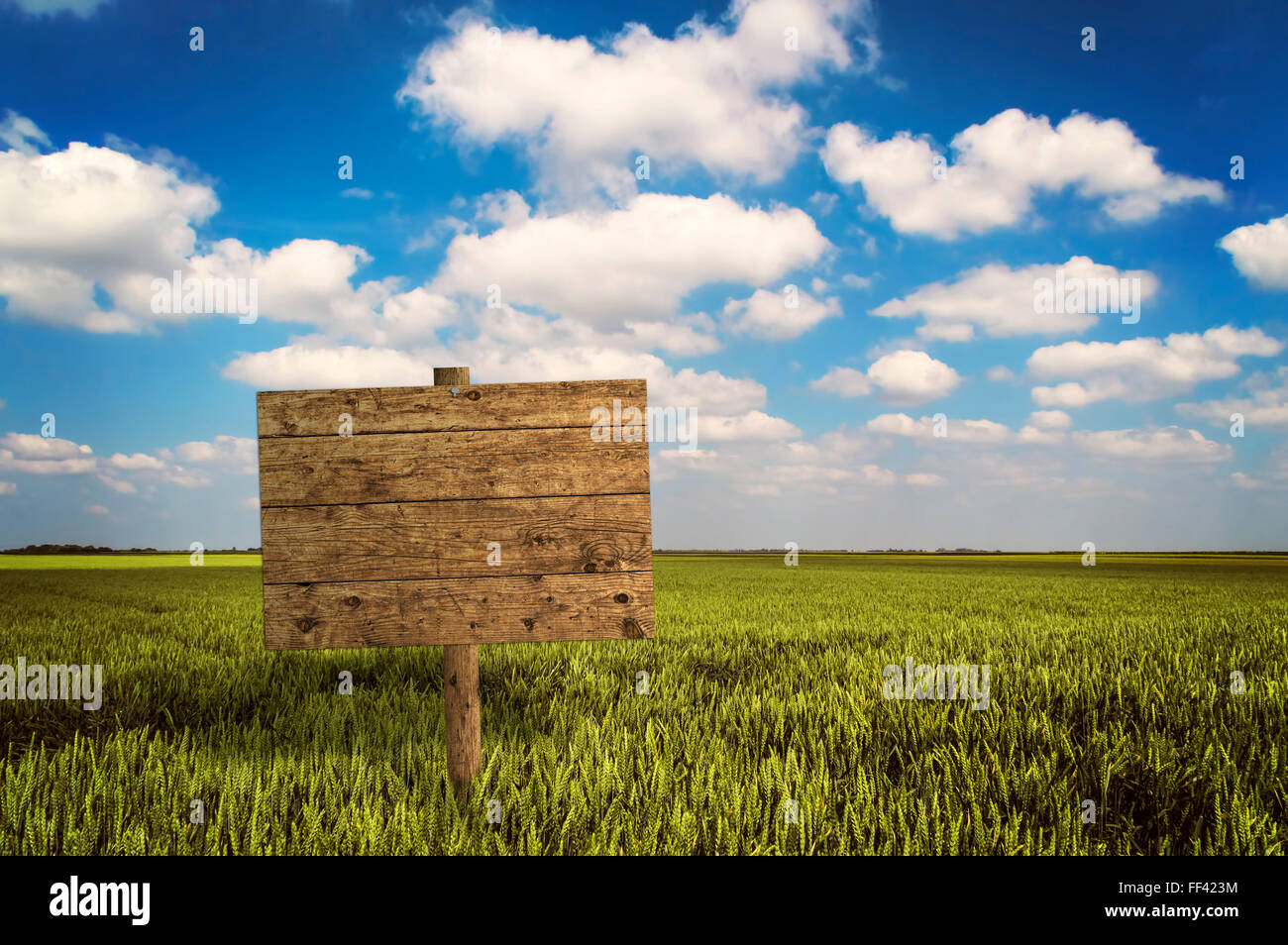 Blank field hi-res stock photography and images - Alamy