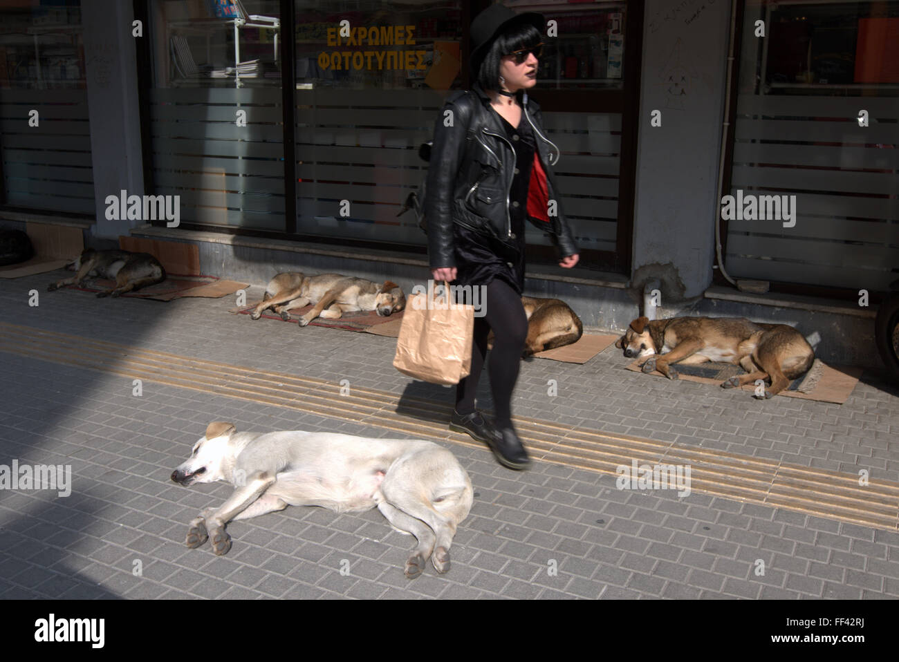 A woman walks pass sleeping stray dogs in Thessaloniki, Greece Stock ...