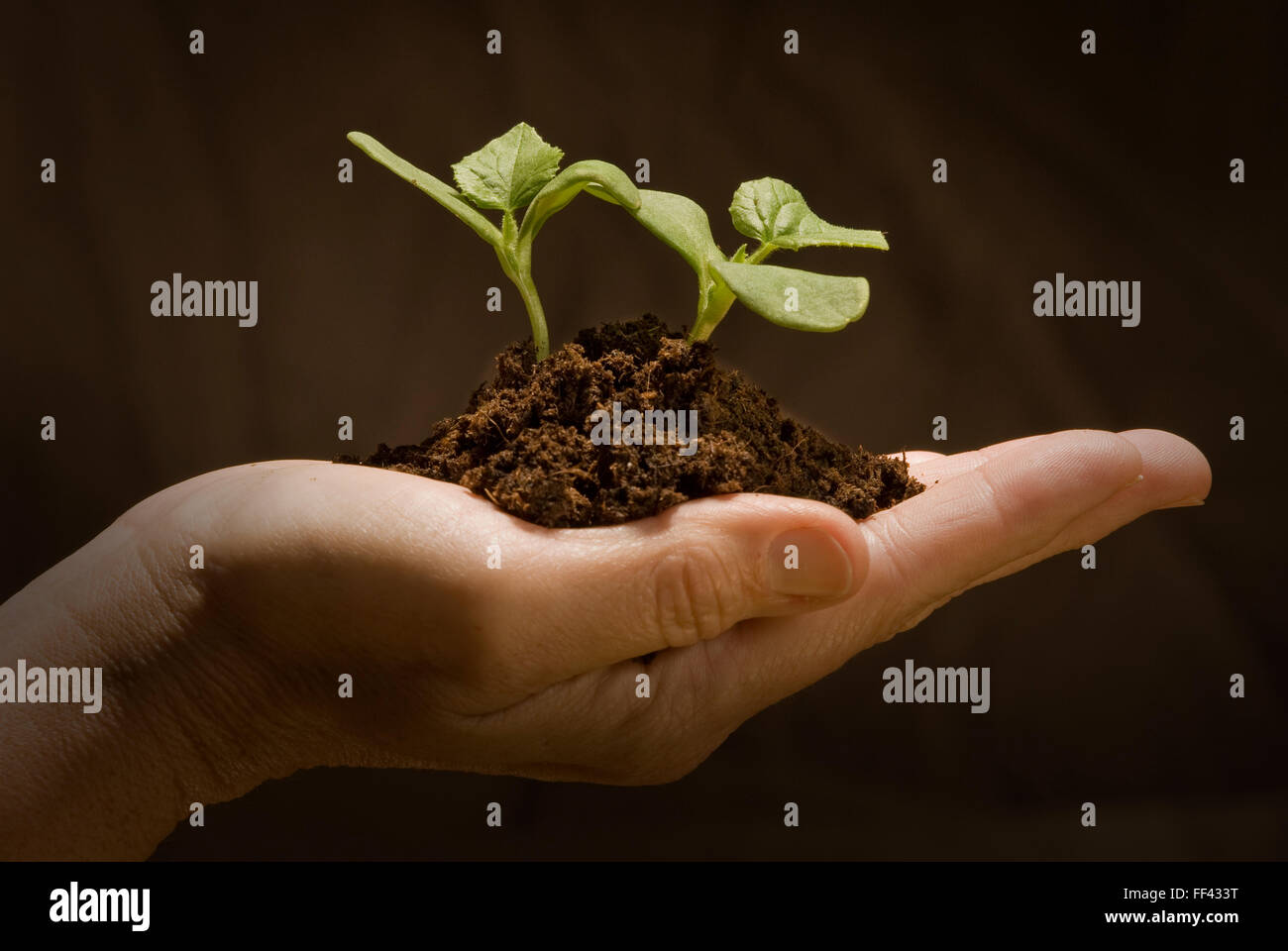 Gods creation of life hi-res stock photography and images - Alamy