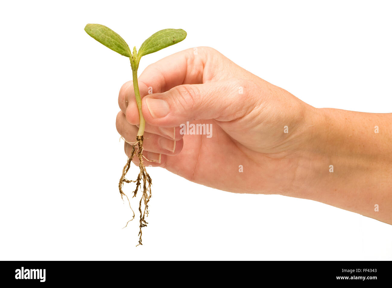 Vertical low key shot small hi-res stock photography and images - Alamy