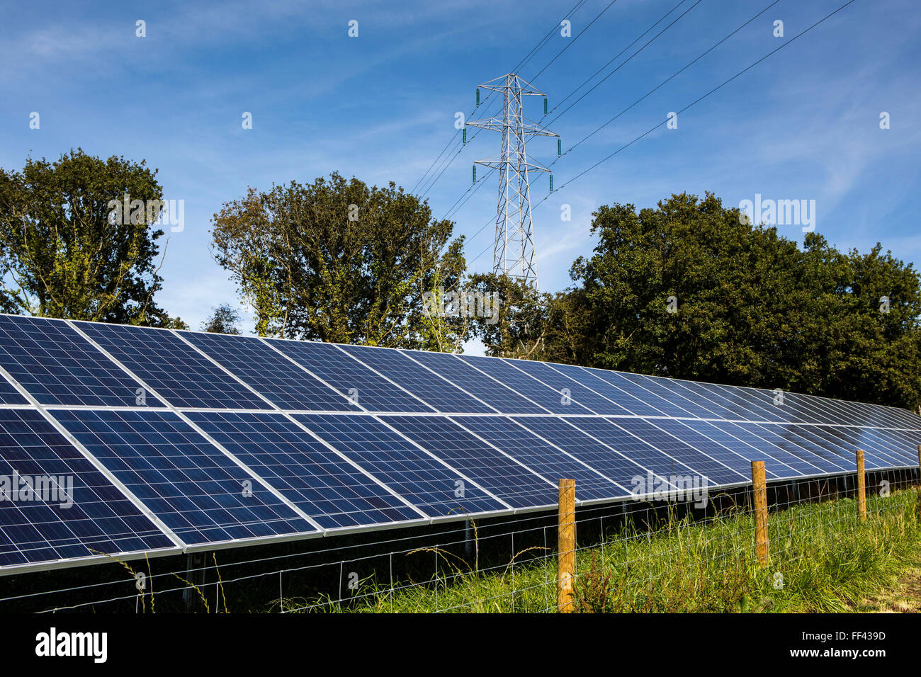 Solar panels of the 100kW solar array built by WREN, in partnership ...
