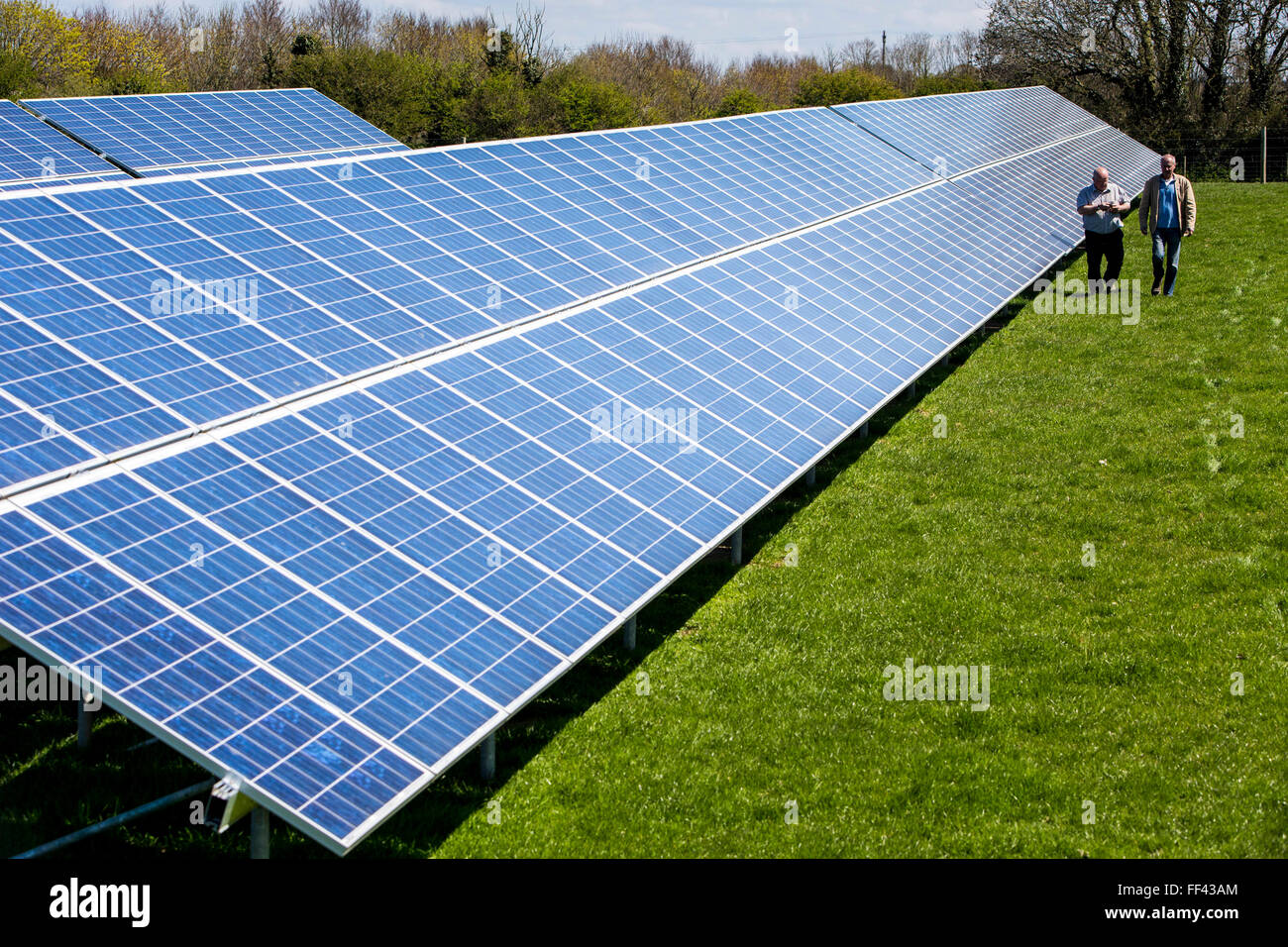 Rows of photovoltaic solar panels in a field for electricity production ...