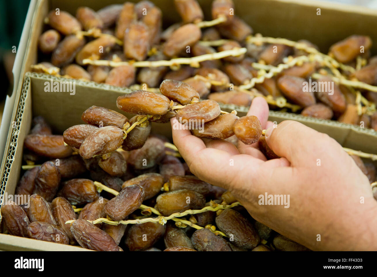 Worlds Largest Cosmetics Company High Resolution Stock Photography and ...