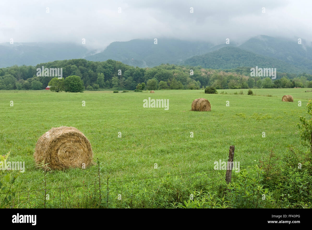 Hayfield hi-res stock photography and images - Alamy
