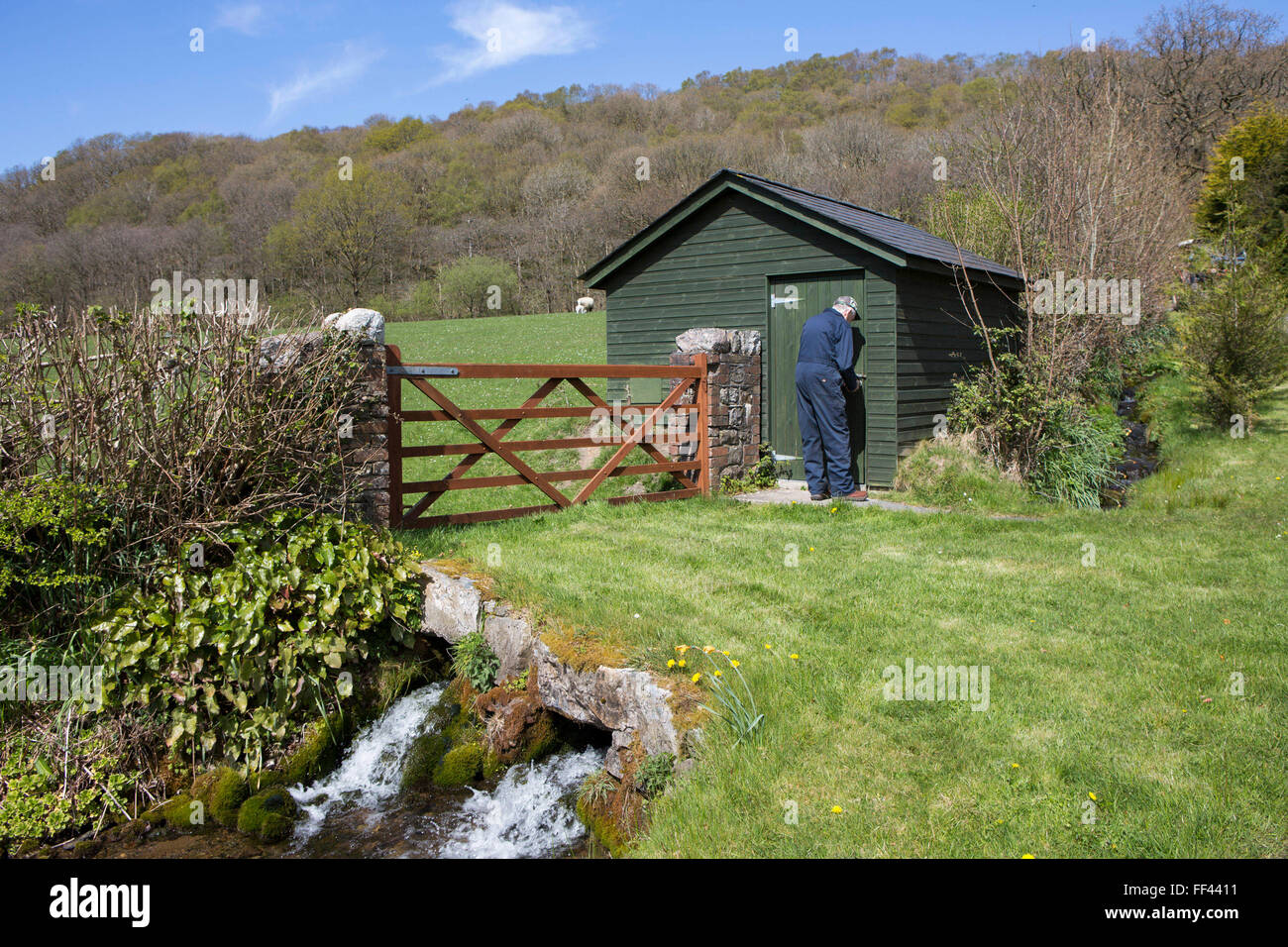 Welsh sheep farmer Howell Williams and his sheep dog Ben accessing the ...