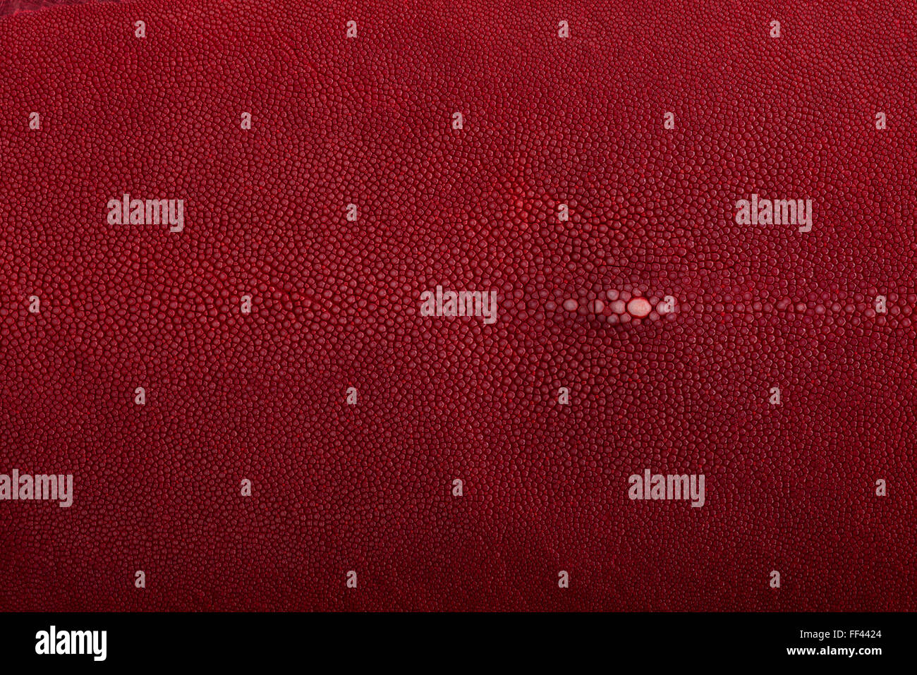 Stingray exotic fish leather, hide, skin in red color Stock Photo - Alamy