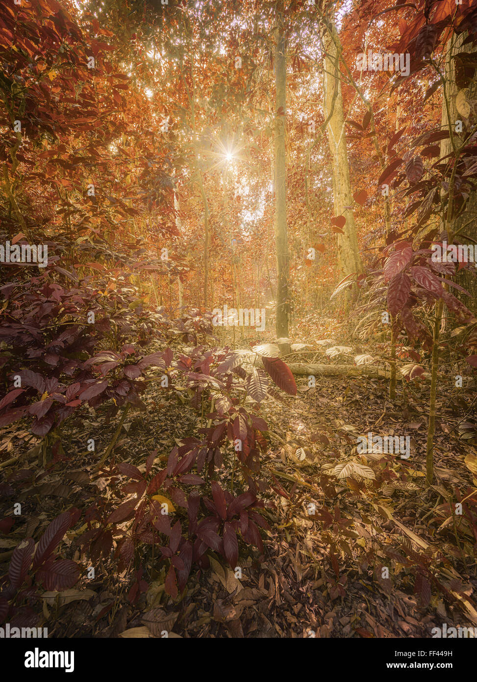 Beautiful landscape of mountain at sunset, Chiang Mai,Thailand Stock ...