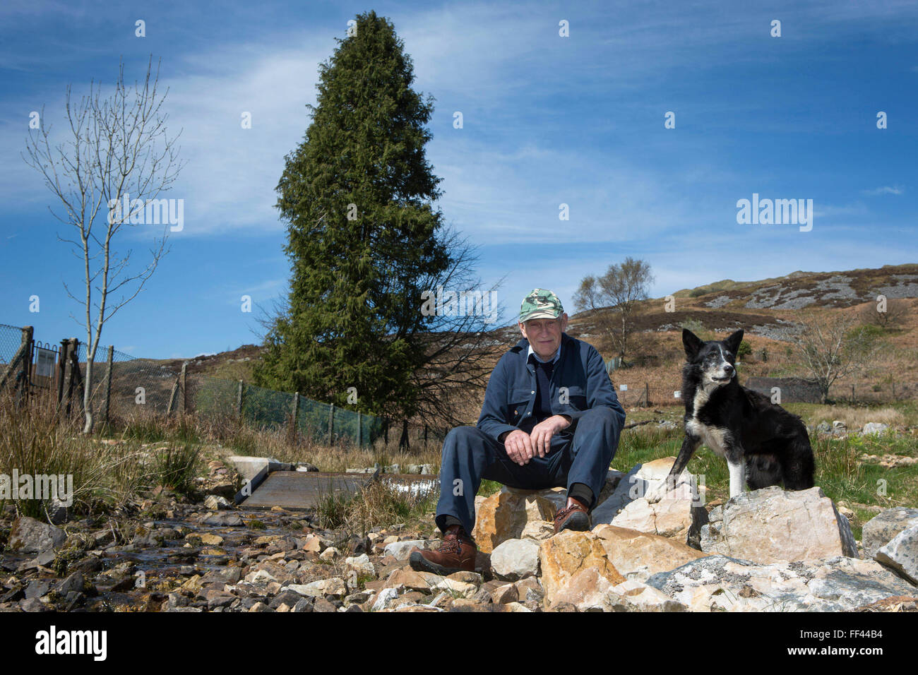 Welsh sheep farmer Howell Williams and his sheep dog Ben sit by the ...