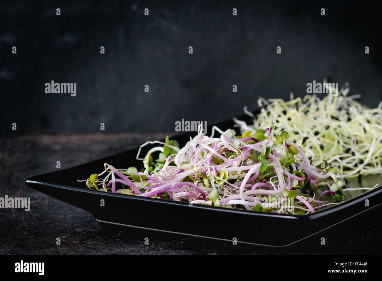 Mix of Fresh Sprouts Stock Photo - Alamy