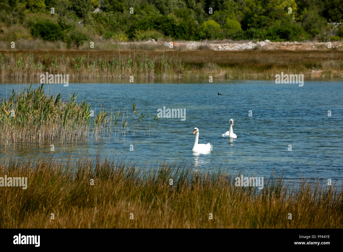 Raslina croatia hi-res stock photography and images - Alamy