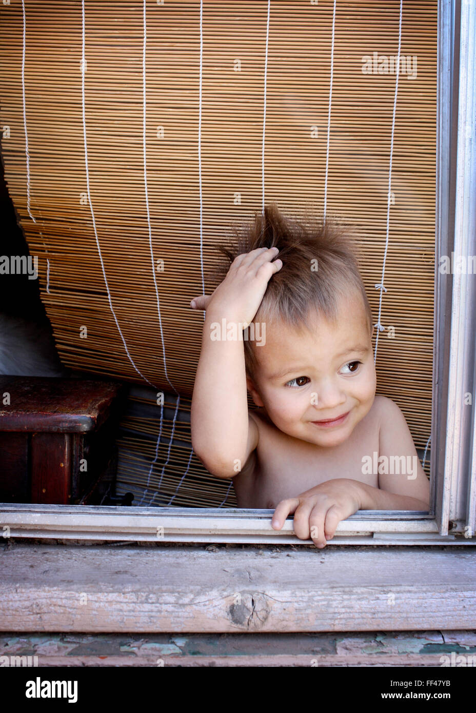 Looking Through the Window Stock Photo - Alamy