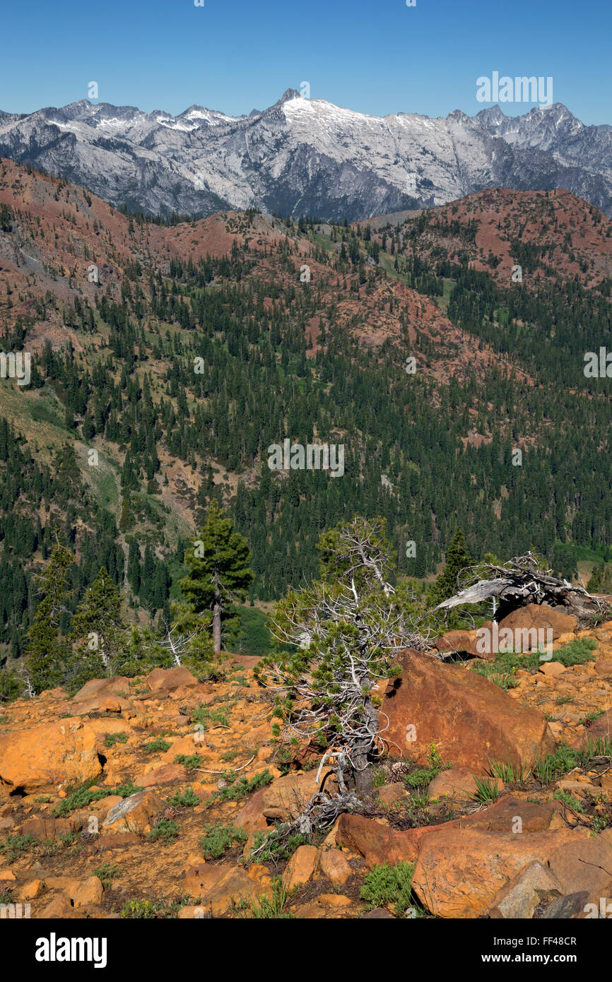 CALIFORNIA - Deer Creek drainage from the Seven Up Trail in the Trinity ...