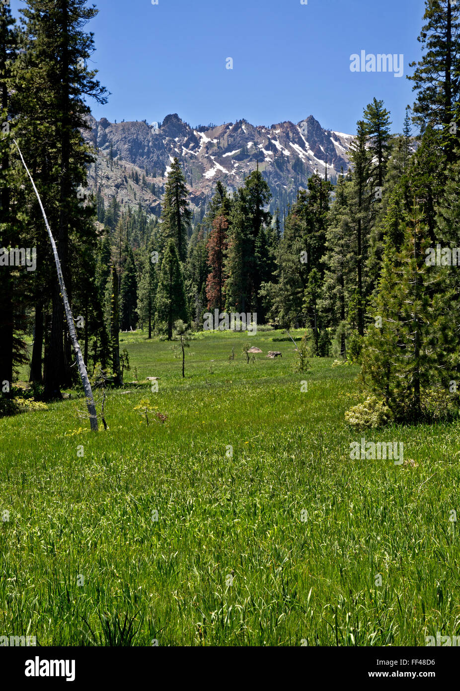 CALIFORNIA - Large meadow in the Bear Basin area of Trinity Alps ...