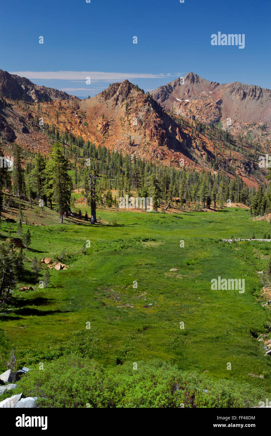 CALIFORNIA - Siligo Meadows below Bee Tree Gap in the Trinity Alps ...