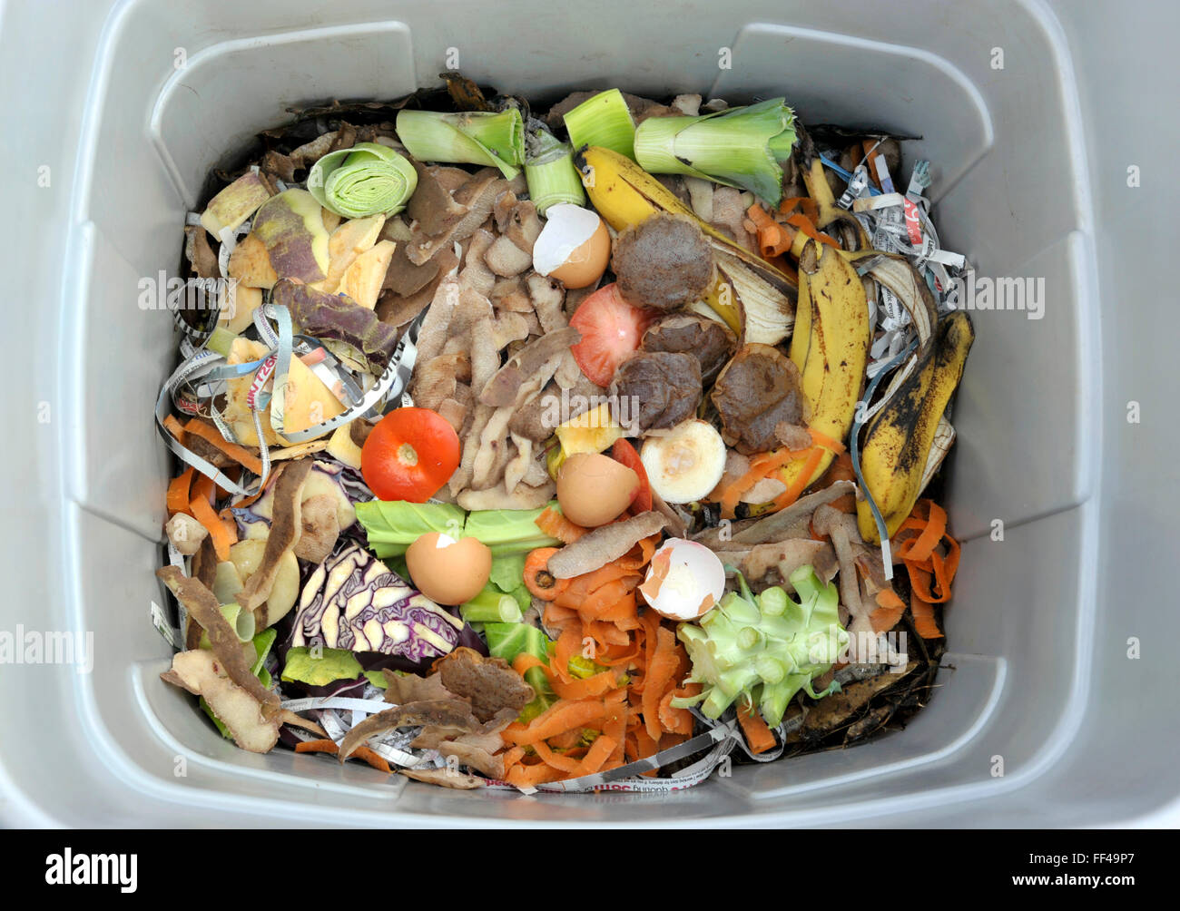 Inside a wormery with vegetable, fruit, general kitchen food waste and ...