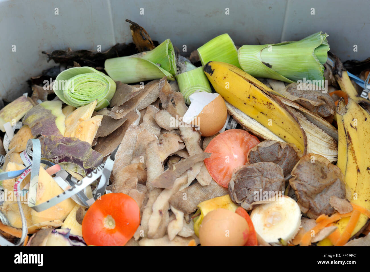 Inside a wormery with vegetable, fruit, general kitchen food waste and ...