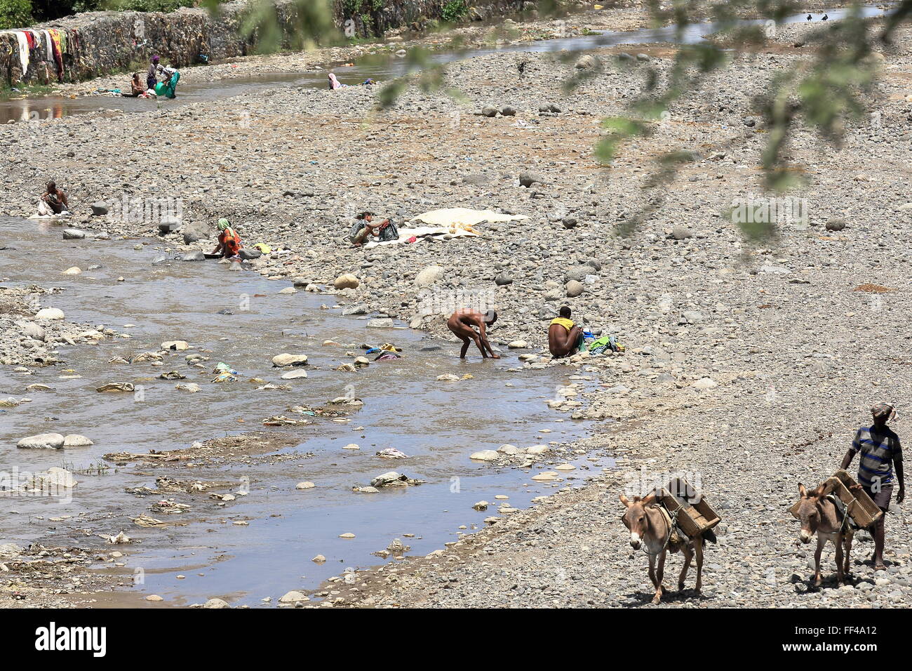 Donkey bath hi-res stock photography and images - Alamy