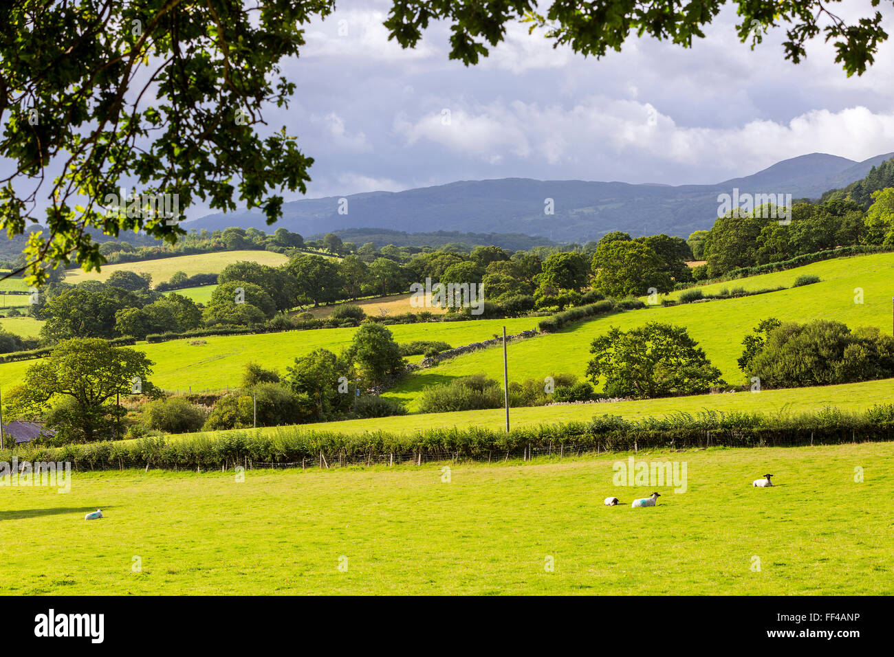 Conwy landscape hi-res stock photography and images - Alamy
