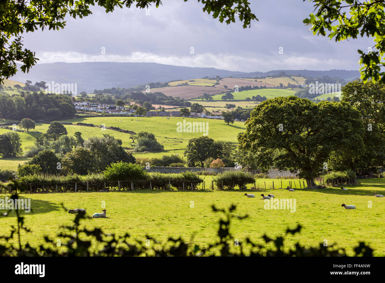 Conwy wales hi-res stock photography and images - Alamy